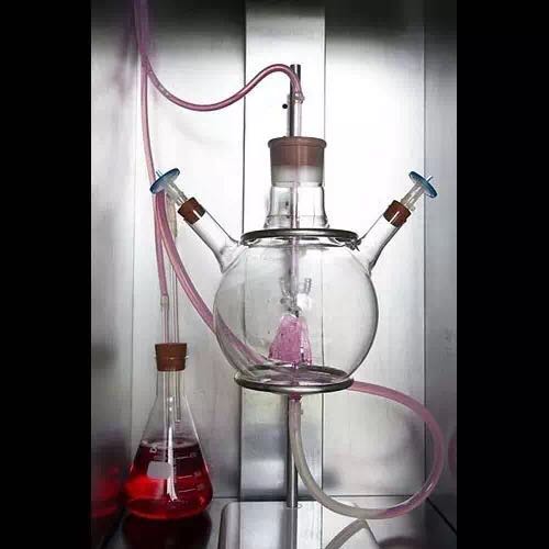 Leonardo Art, Science and Technology Lecture Series 2017 | Growing ...